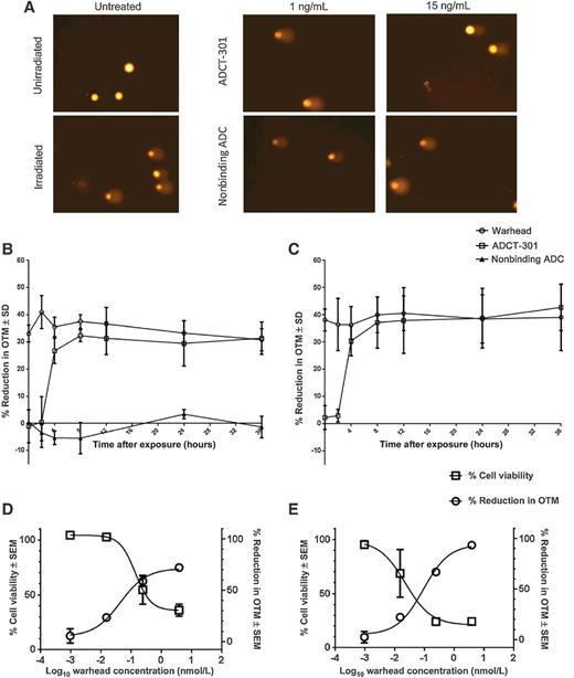 ADCT-301, a Pyrrolobenzodiazepine (PBD) Dimer–Containing Antibody–Drug ...