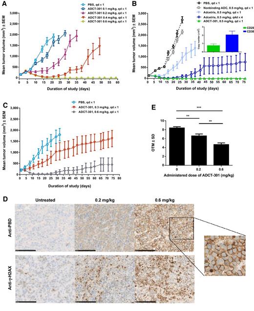 ADCT-301, a Pyrrolobenzodiazepine (PBD) Dimer–Containing Antibody–Drug ...
