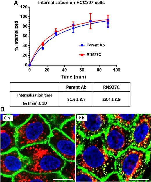 RN927C, a Site-Specific Trop-2 Antibody–Drug Conjugate (ADC) with ...
