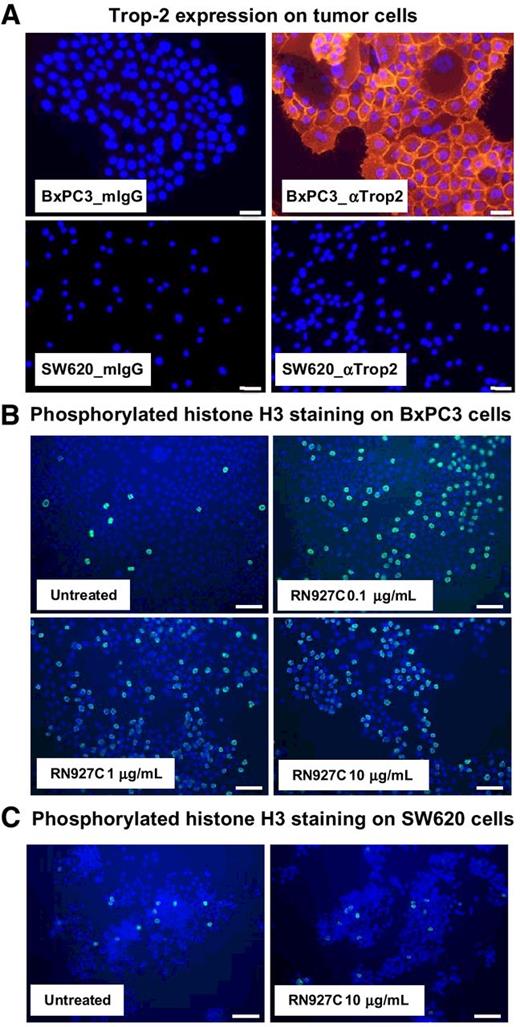RN927C, a Site-Specific Trop-2 Antibody–Drug Conjugate (ADC) with ...
