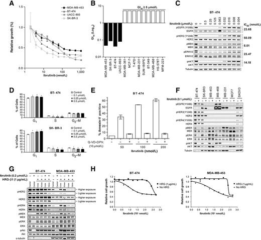 Ibrutinib Inhibits ERBB Receptor Tyrosine Kinases and HER2-Amplified ...