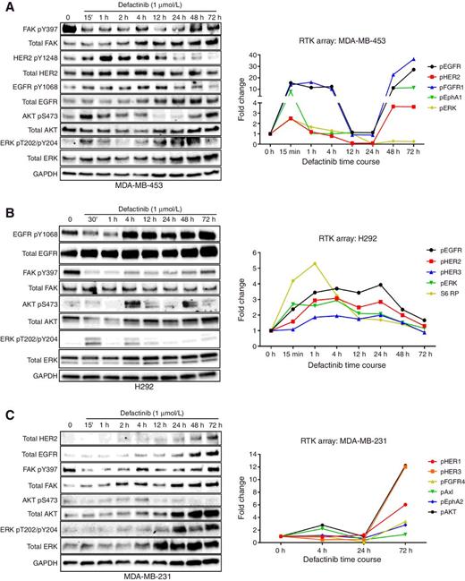 Oncogenic Receptor Tyrosine Kinases Directly Phosphorylate Focal ...