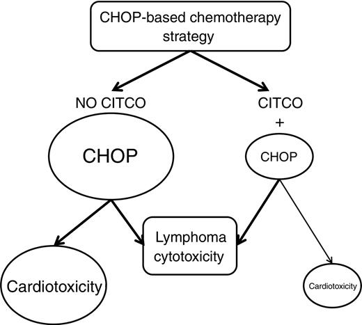 Activation of the Constitutive Androstane Receptor Increases the ...