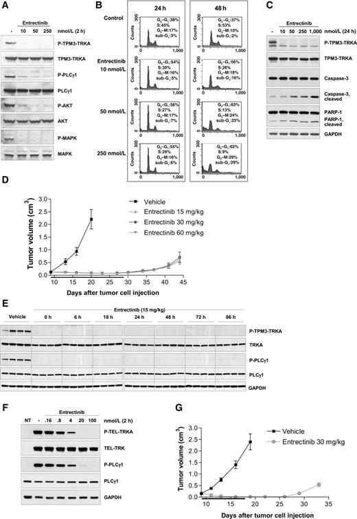 Entrectinib, a Pan–TRK, ROS1, and ALK Inhibitor with Activity in ...