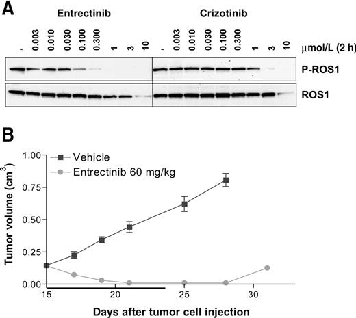 Entrectinib, a Pan–TRK, ROS1, and ALK Inhibitor with Activity in ...