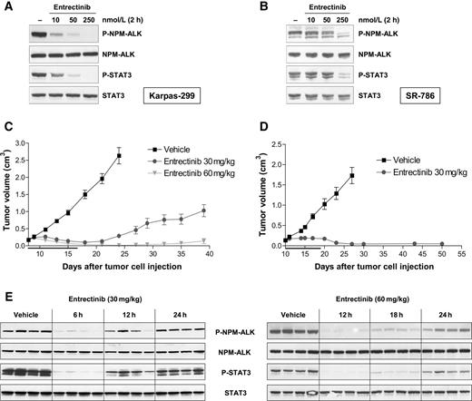 Entrectinib, a Pan–TRK, ROS1, and ALK Inhibitor with Activity in ...