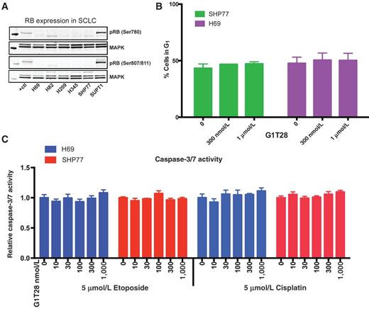 Preclinical Characterization of G1T28: A Novel CDK4/6 Inhibitor for ...