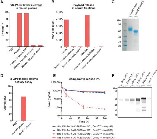 Molecular Basis of Valine-Citrulline-PABC Linker Instability in Site ...