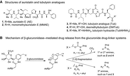Development of Novel Quaternary Ammonium Linkers for Antibody–Drug ...