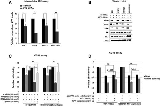 Targeting Adenine Nucleotide Translocase-2 (ANT2) to Overcome ...
