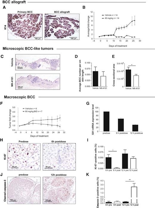 MK-4101, a Potent Inhibitor of the Hedgehog Pathway, Is Highly Active against Medulloblastoma ...