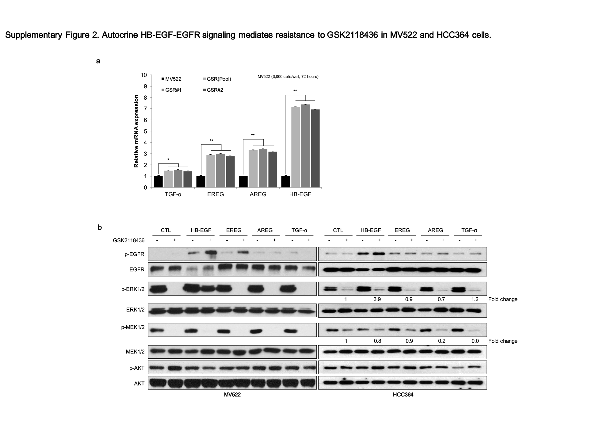 EGFR-Mediated Reactivation of MAPK Signaling Induces Acquired ...