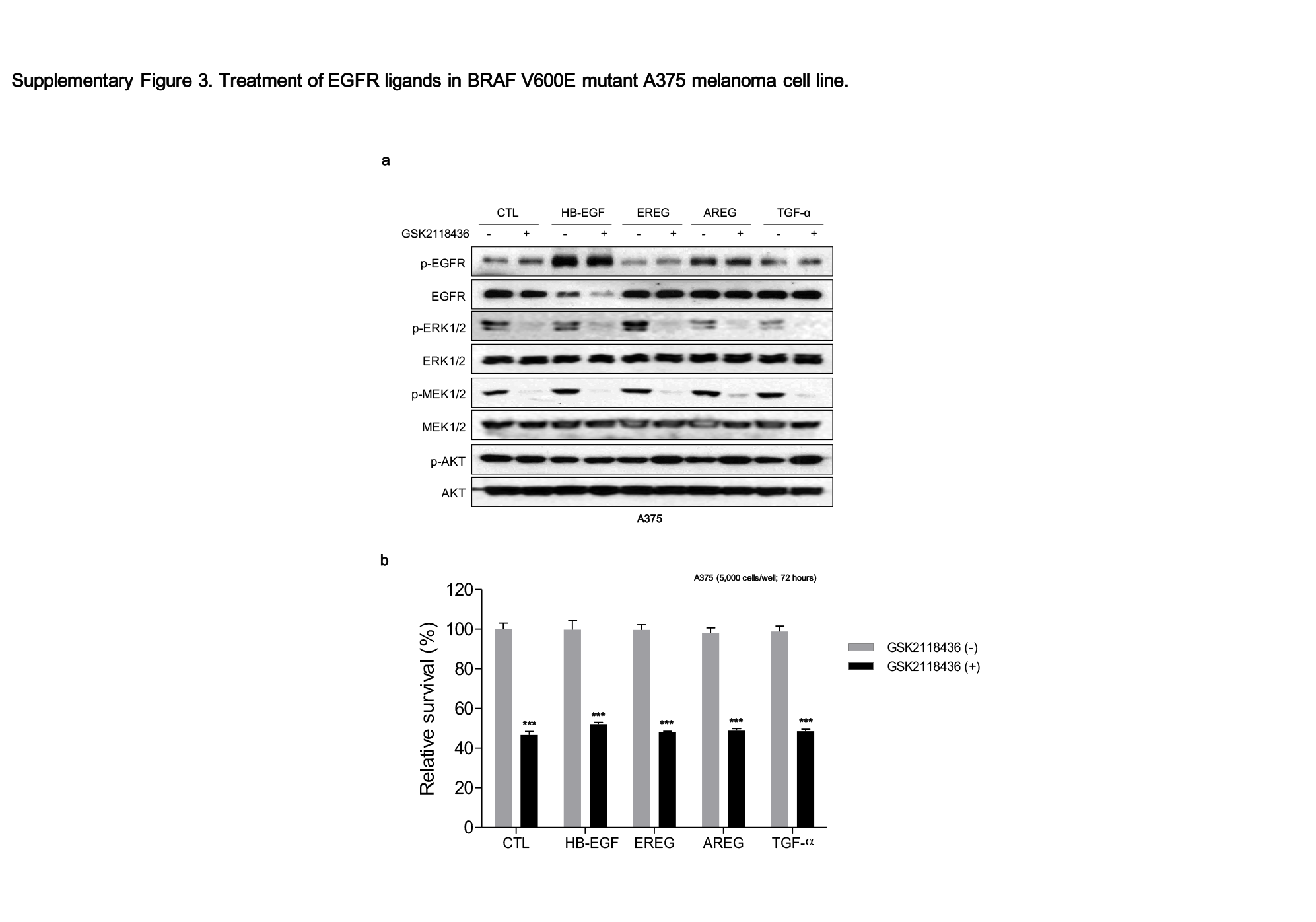 EGFR-Mediated Reactivation of MAPK Signaling Induces Acquired ...