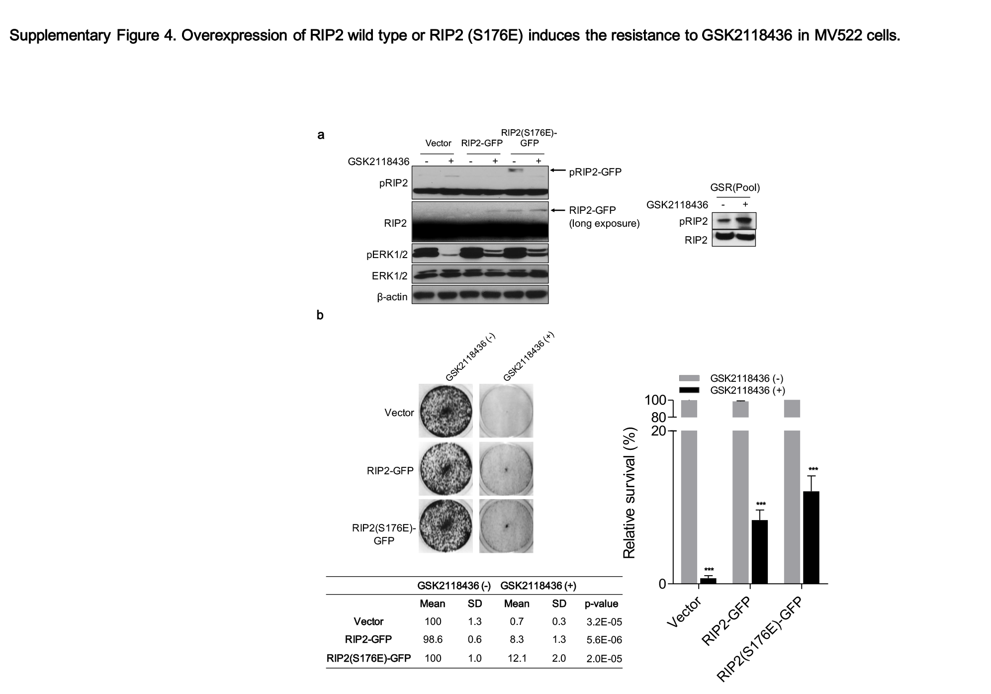 EGFR-Mediated Reactivation of MAPK Signaling Induces Acquired ...