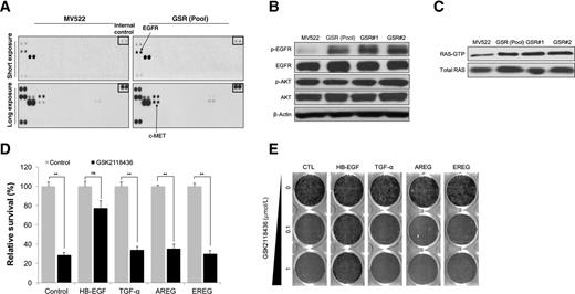 EGFR-Mediated Reactivation of MAPK Signaling Induces Acquired ...