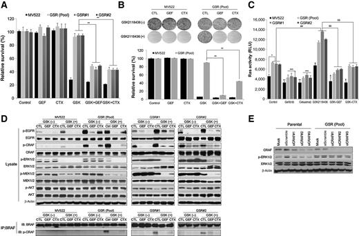 EGFR-Mediated Reactivation of MAPK Signaling Induces Acquired ...