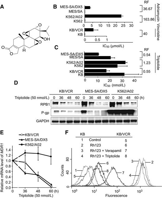 Triptolide Induces Cell Killing in Multidrug-Resistant Tumor Cells via ...