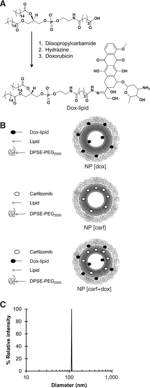 Dual Carfilzomib and Doxorubicin–Loaded Liposomal Nanoparticles for ...