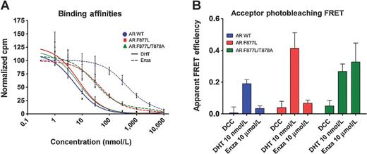 The Effect of F877L and T878A Mutations on Androgen Receptor Response ...