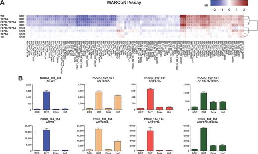 The Effect of F877L and T878A Mutations on Androgen Receptor Response ...