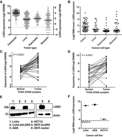 LGR5-Targeted Antibody–Drug Conjugate Eradicates Gastrointestinal ...