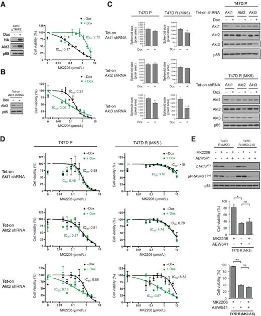 Upregulation of AKT3 Confers Resistance to the AKT Inhibitor MK2206 in ...