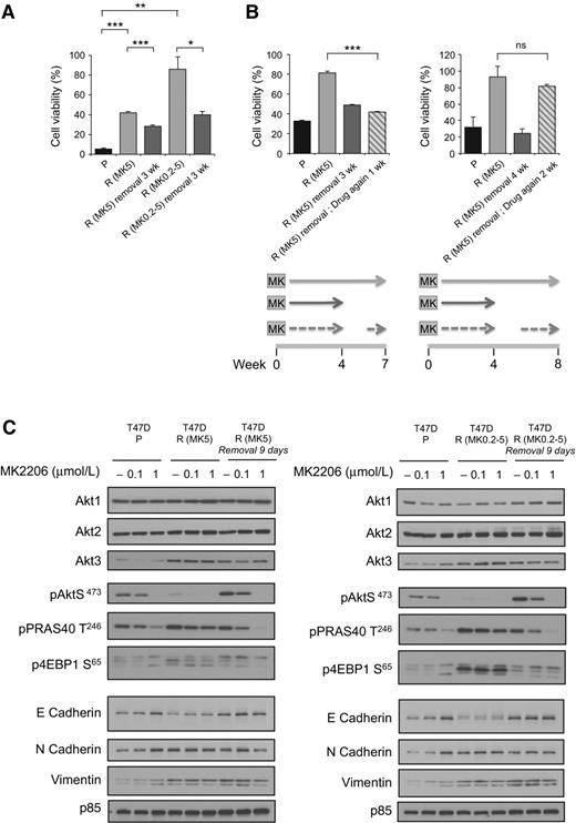 Upregulation of AKT3 Confers Resistance to the AKT Inhibitor MK2206 in ...