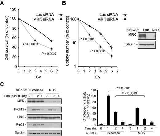 Pharmacological Inhibition of the Protein Kinase MRK/ZAK ...