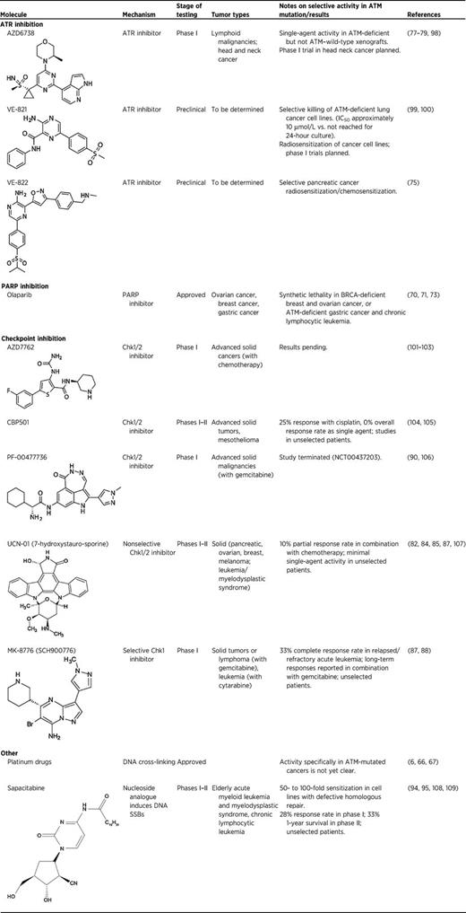 ATM Mutations in Cancer: Therapeutic Implications | Molecular Cancer ...
