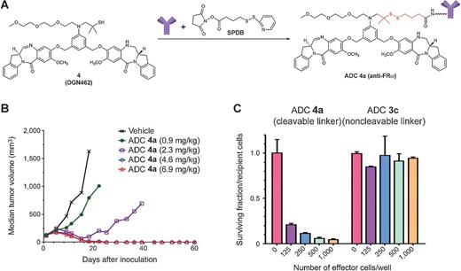 A New Class of Antibody–Drug Conjugates with Potent DNA Alkylating ...