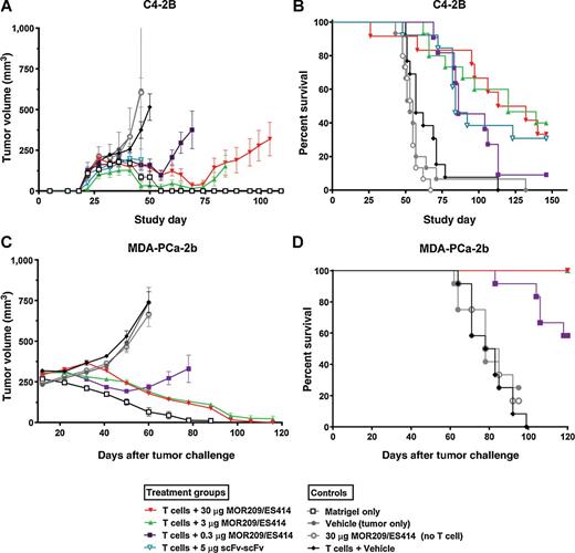 MOR209/ES414, a Novel Bispecific Antibody Targeting PSMA for the ...