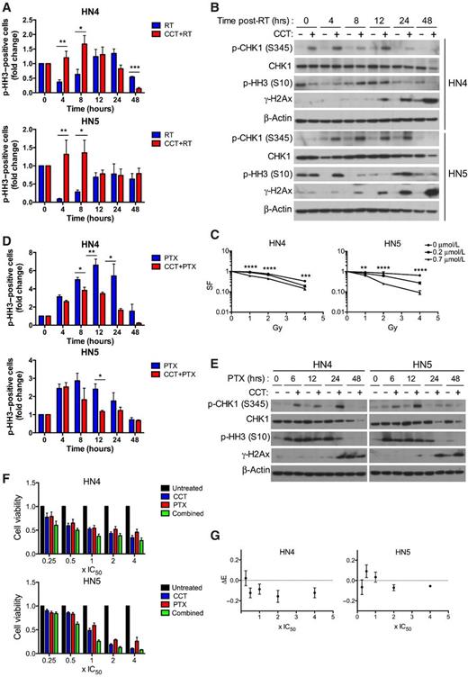 CHK1 Inhibition Radiosensitizes Head and Neck Cancers to Paclitaxel ...