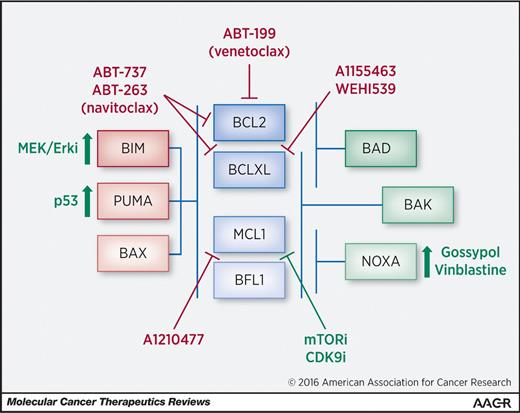 BCL2 Inhibitors as Anticancer Drugs: A Plethora of Misleading BH3 ...