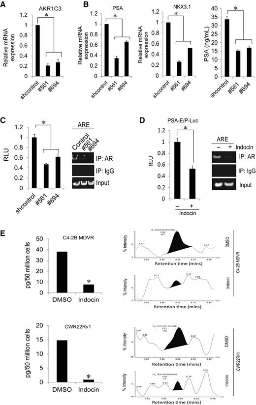 Inhibition of AKR1C3 Activation Overcomes Resistance to Abiraterone in ...