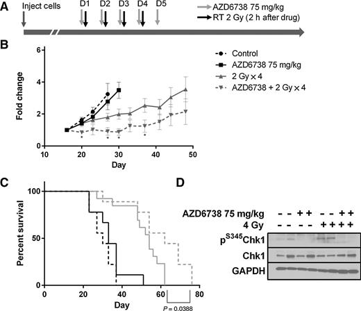 Radiosensitization by the ATR Inhibitor AZD6738 through Generation of ...