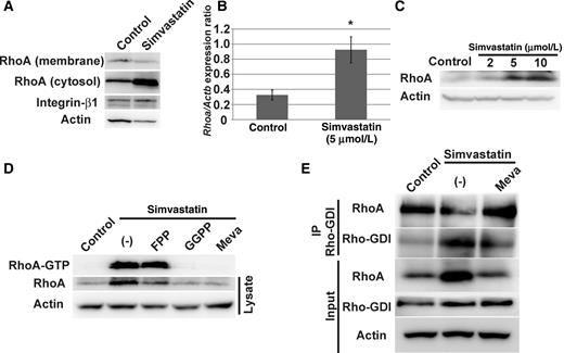 Simvastatin-Induced Apoptosis in Osteosarcoma Cells: A Key Role of RhoA ...