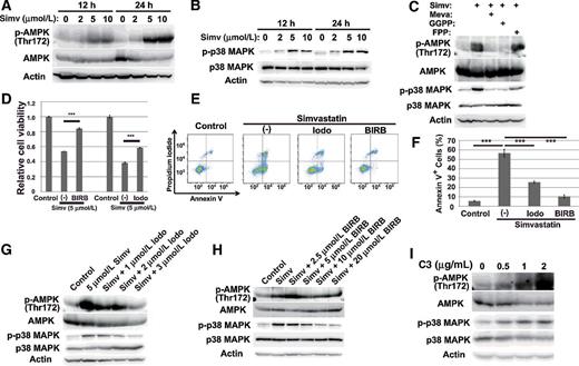 Simvastatin-Induced Apoptosis in Osteosarcoma Cells: A Key Role of RhoA ...