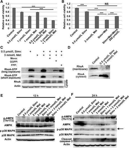 Simvastatin-Induced Apoptosis in Osteosarcoma Cells: A Key Role of RhoA ...