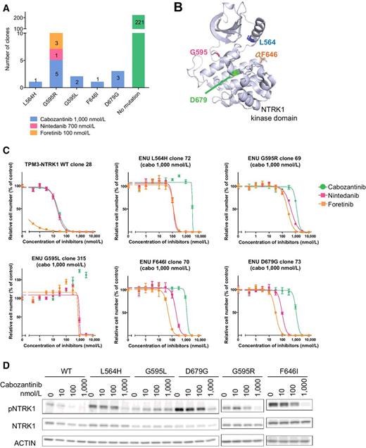 Mechanisms of Resistance to NTRK Inhibitors and Therapeutic Strategies ...