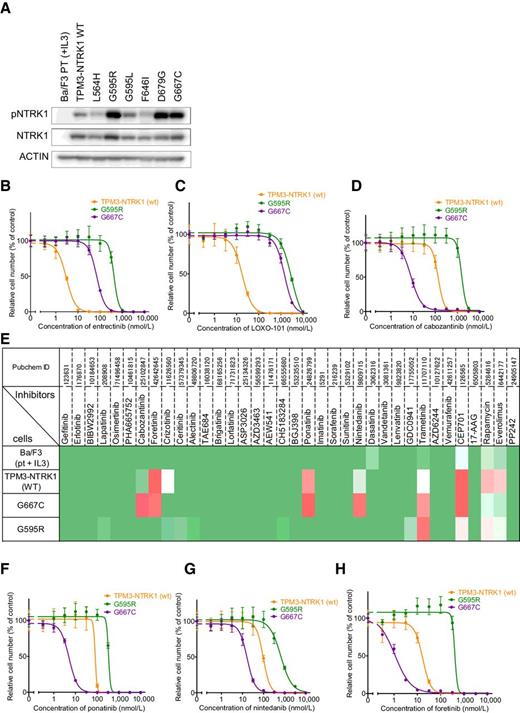 Mechanisms of Resistance to NTRK Inhibitors and Therapeutic Strategies ...