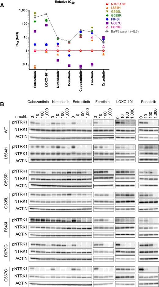 Mechanisms of Resistance to NTRK Inhibitors and Therapeutic Strategies ...