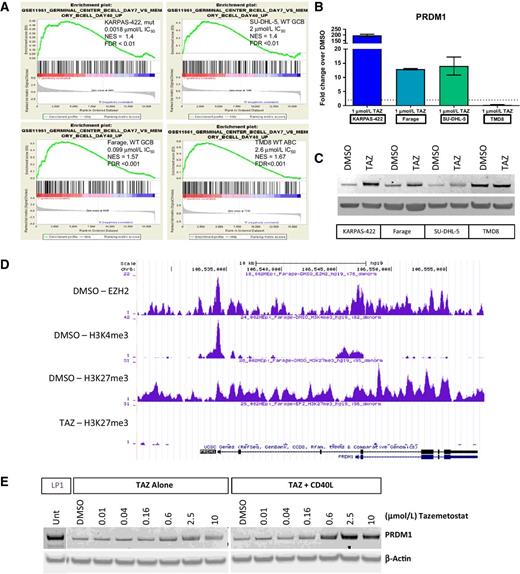 EZH2 Inhibition by Tazemetostat Results in Altered Dependency on B-cell ...