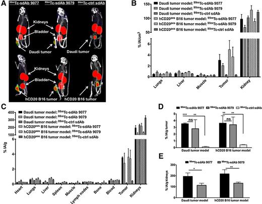 Theranostic Radiolabeled Anti-CD20 sdAb for Targeted Radionuclide ...