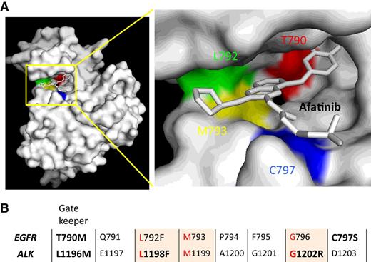 Characterization of EGFR T790M, L792F, and C797S Mutations as ...