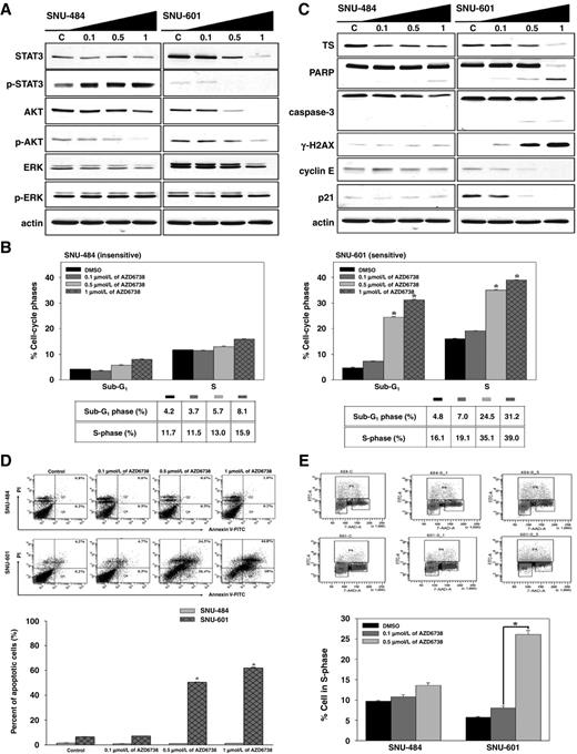 AZD6738, A Novel Oral Inhibitor of ATR, Induces Synthetic Lethality ...