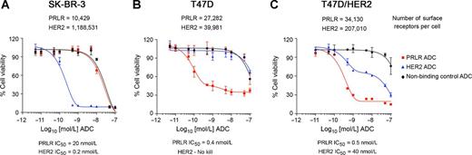 Bispecific Antibodies and Antibody–Drug Conjugates (ADCs) Bridging HER2 ...