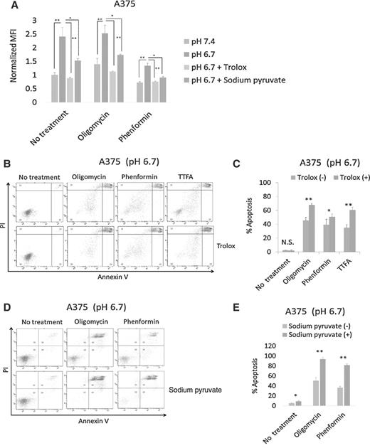 Calcium-Dependent Enhancement by Extracellular Acidity of the ...