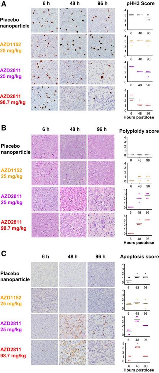 Optimizing Therapeutic Effect of Aurora B Inhibition in Acute Myeloid ...