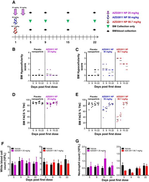 Optimizing Therapeutic Effect of Aurora B Inhibition in Acute Myeloid ...