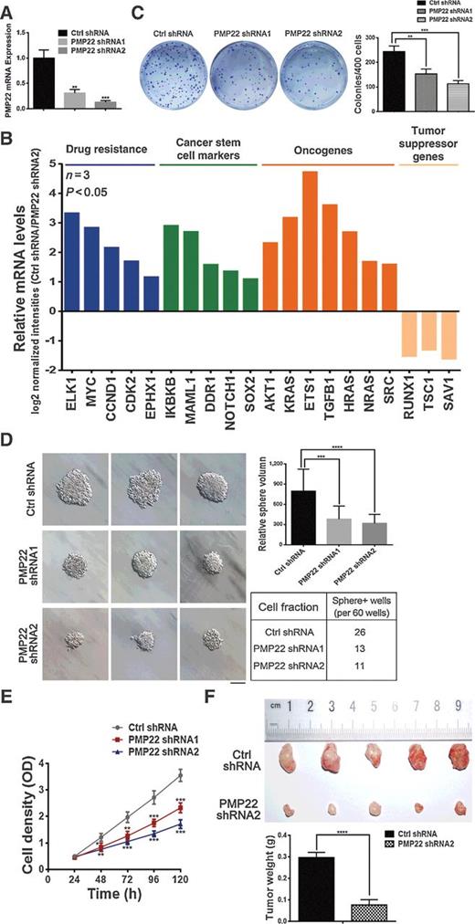 PMP22 Regulates Self-Renewal and Chemoresistance of Gastric Cancer ...